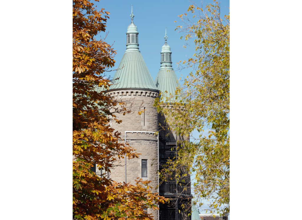 The McGill New Vic Project - ERA Architects